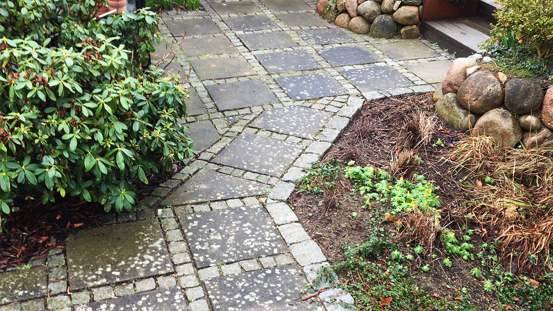 Fliserens - Alge Expressen renser dine fliser for skidt og alger